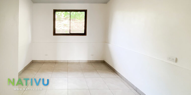 Descubre la rica y diversa ictiofauna de Gasparillo