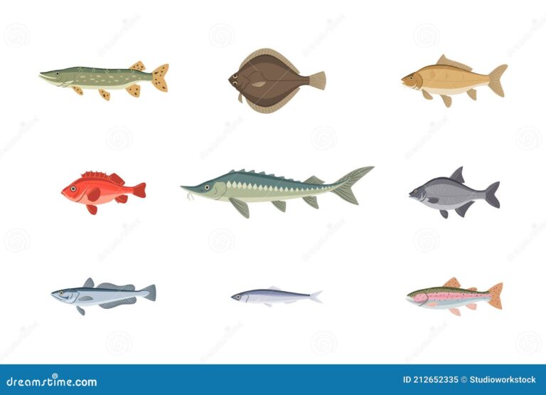 Explora la ictiofauna de Mosoni-Duna: una joya natural